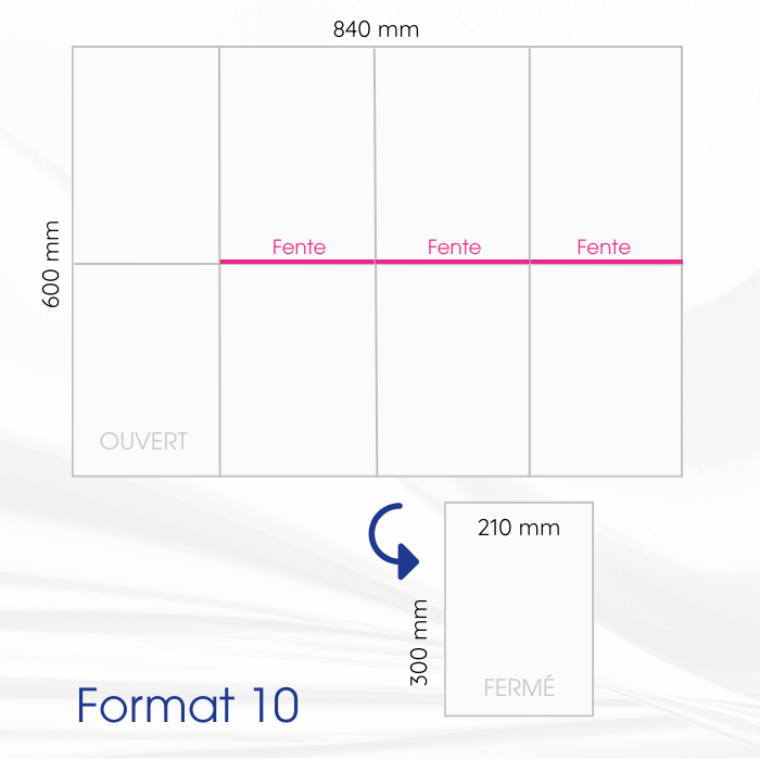 Plateau format 10